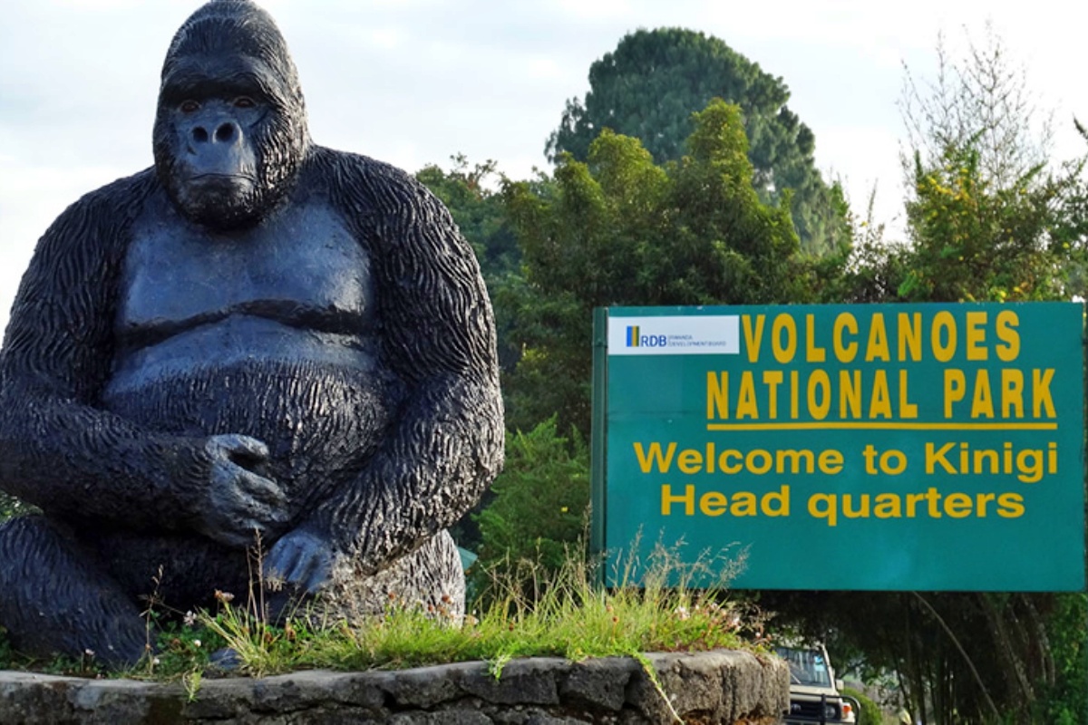 Volcanoes National Park - African Luxury Safari